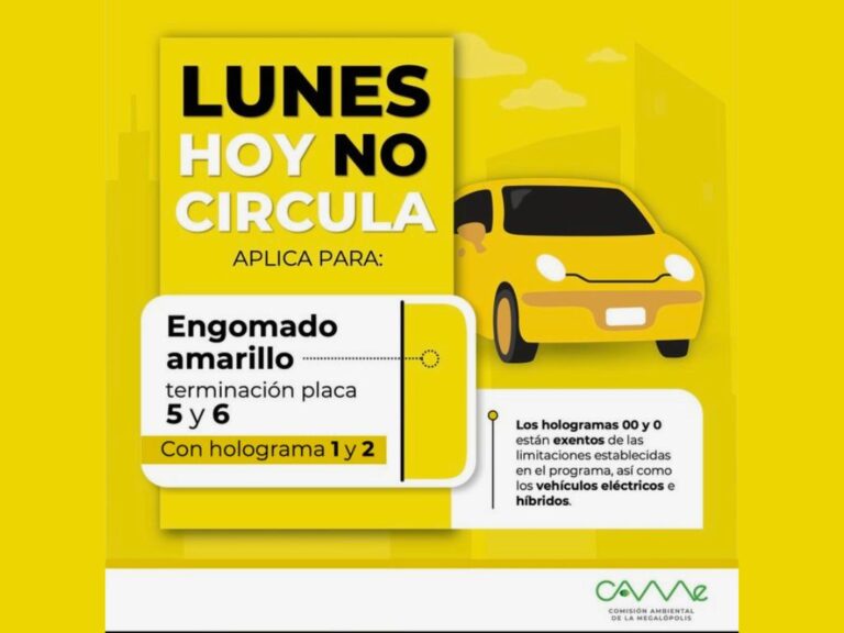 Hoy No Circula lunes 12 de enero en el Valle de México - Amexi
