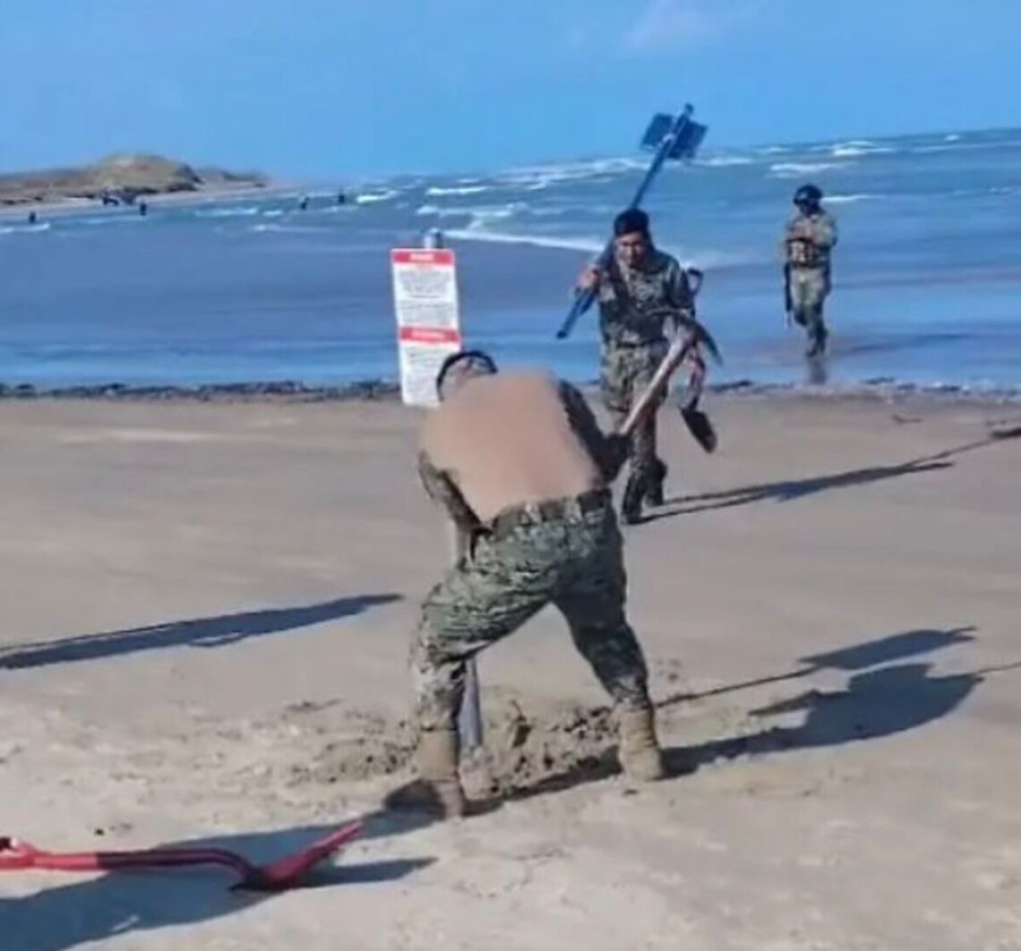 Activan operativos con drones en Oaxaca por saqueo de nidos de huevos ...