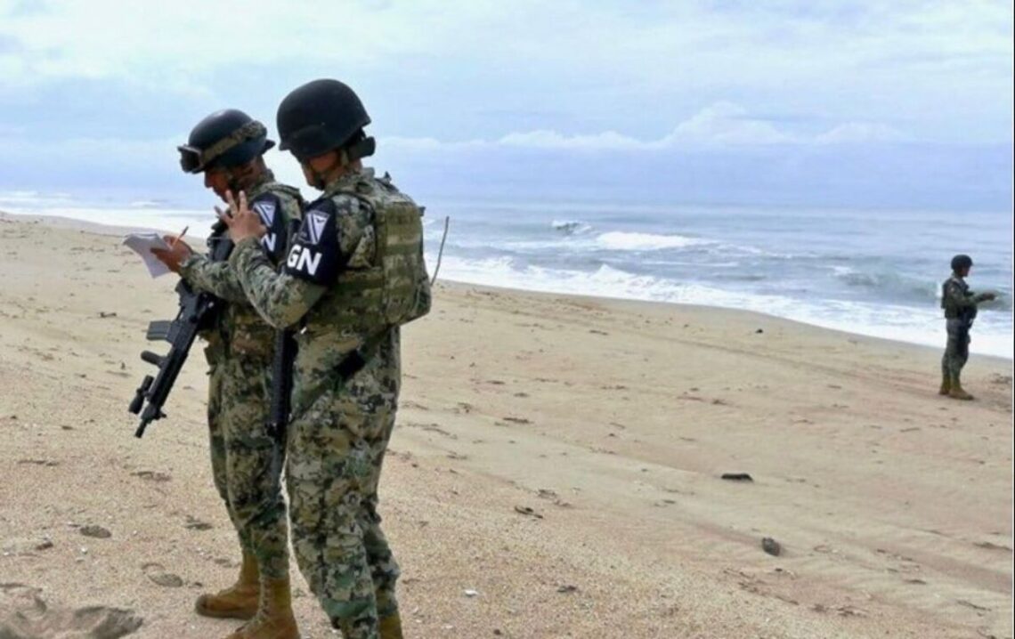 Activan operativos con drones en Oaxaca por saqueo de nidos de huevos ...